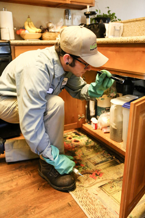 Residential Pest Control in Sacramento