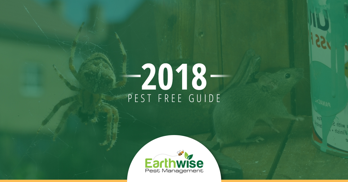 2024 Pest Free Guide - Earthwise Pest Management