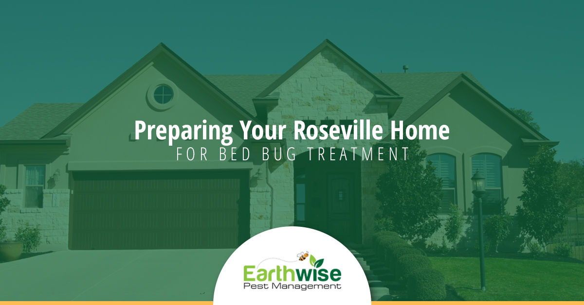 How to Prepare Your Home for Bed Bug Treatment | Earthwise Pest Management