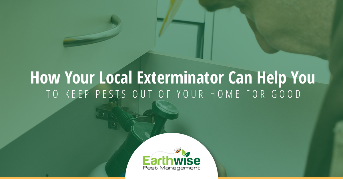 How Your Local Exterminator Can Help You To Keep Pests Out Of Your Home ...