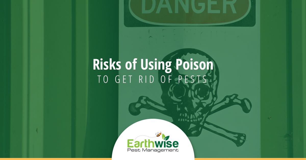 Risks of Using Poison to Get Rid of Pests - Earthwise Pest Management