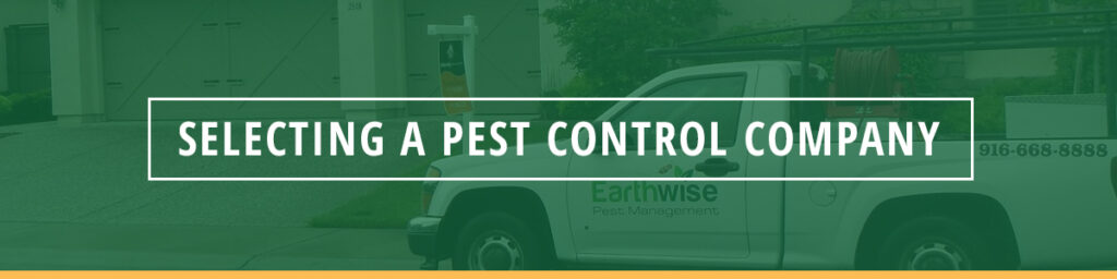 The Best Pest Control Company Sacramento